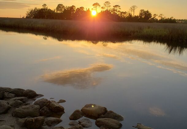 Explore - Steinhatchee River Inn & Marina scalloping and fishing