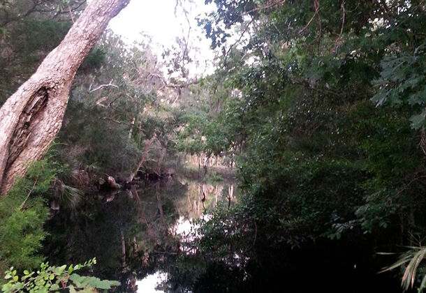 Explore - Steinhatchee River Inn & Marina scalloping and fishing